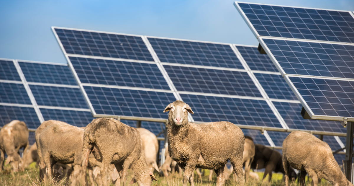 Skannar - Tekniska verken
